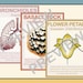 Math in Nature Poster Set: Boho STEM Classroom Decor Bulletin Board ...