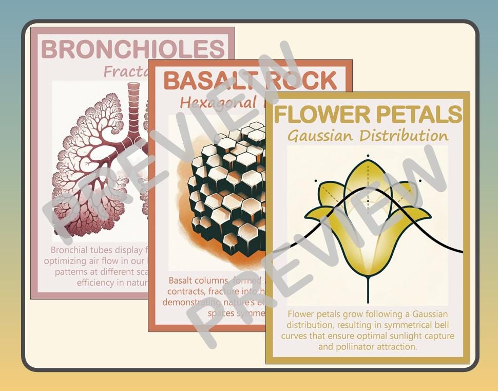 Math in Nature Poster Set | Math Classroom Decor | STEM Bulletin Board ...