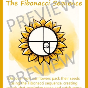 Math in Nature Poster Set: STEM Classroom Decor Bulletin Board (PDF ...