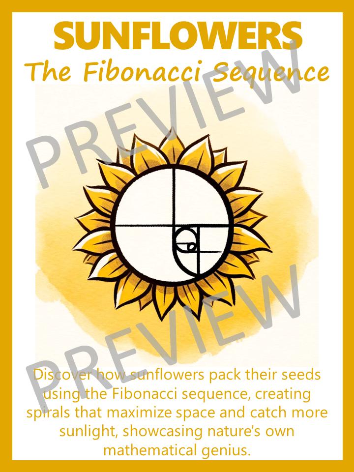 Math in Nature Poster Set | Math Classroom Decor | STEM Bulletin Board ...