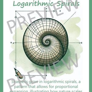 Math in Nature Poster Set: STEM Classroom Decor Bulletin Board (PDF ...