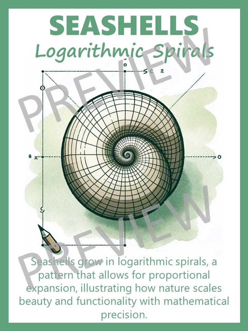 Math in Nature Poster Set: STEM Classroom Decor Bulletin Board (PDF ...