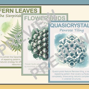Math in Nature Poster Set: Boho STEM Classroom Decor Bulletin Board ...