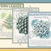 Math in Nature Poster Set: Boho STEM Classroom Decor Bulletin Board ...