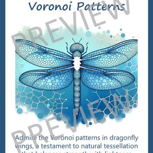 Math in Nature Poster Set: STEM Classroom Decor Bulletin Board (PDF ...