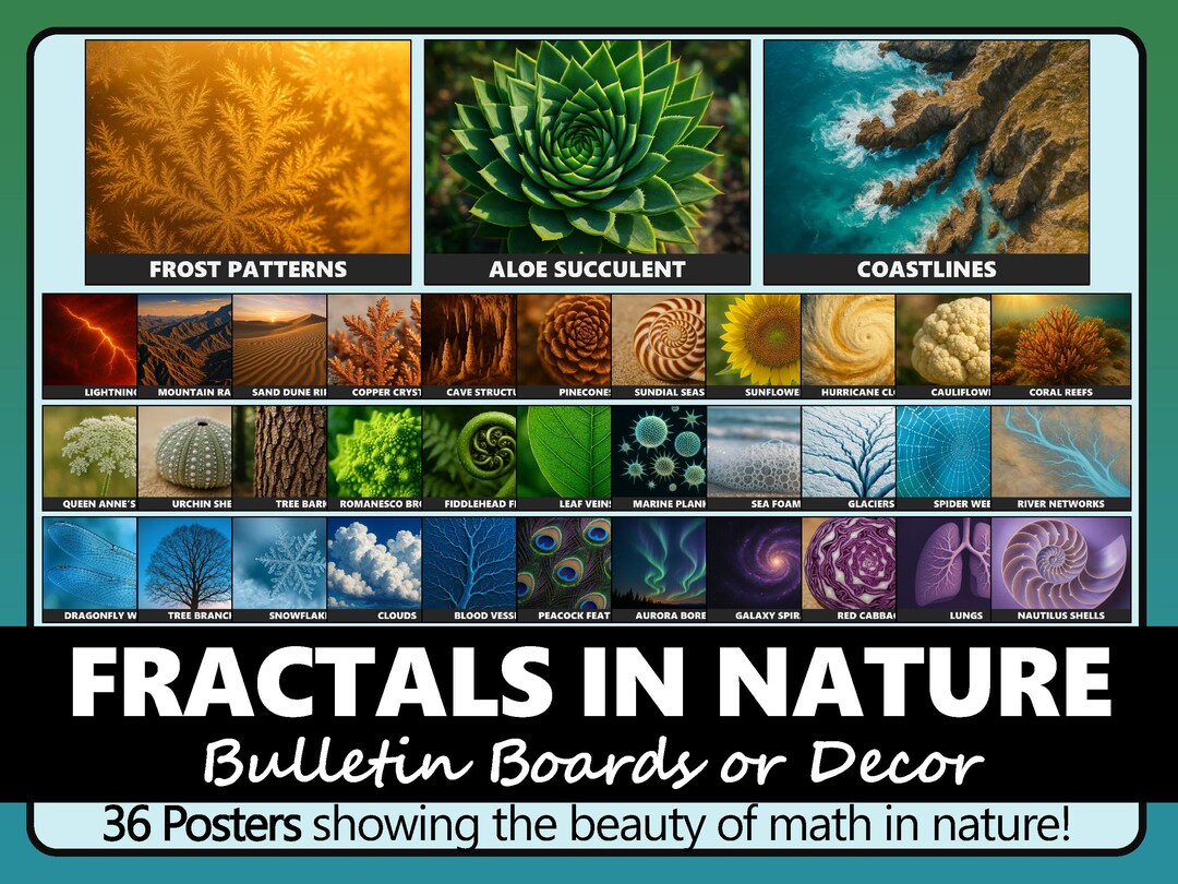Fractals in Nature Poster Set: Math & Science Classroom Decor (PDF ...