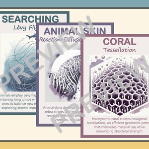 Math in Nature Poster Set: Boho STEM Classroom Decor Bulletin Board ...