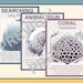 Math in Nature Poster Set: Boho STEM Classroom Decor Bulletin Board ...