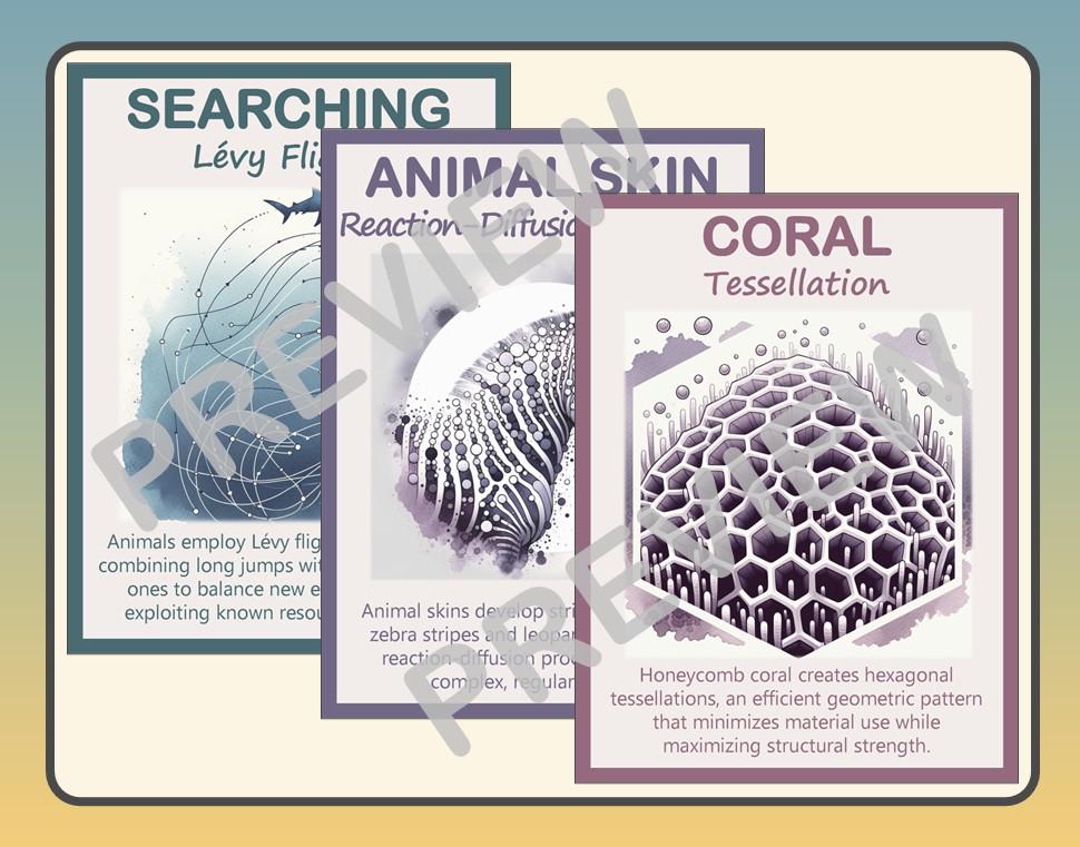 Math in Nature Poster Set: Boho STEM Classroom Decor Bulletin Board ...
