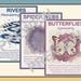 Math in Nature Poster Set: Boho STEM Classroom Decor Bulletin Board ...