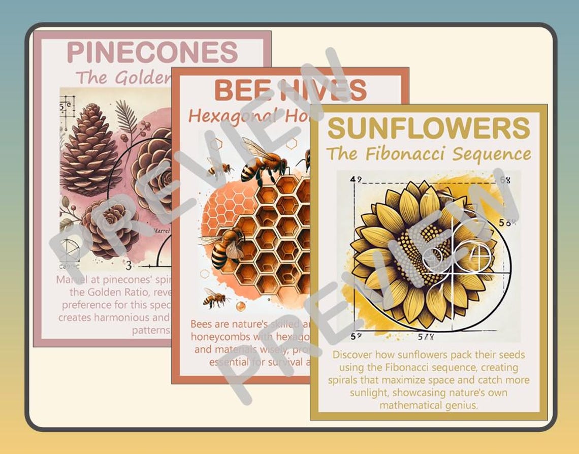 Math in Nature Poster Set | Math Classroom Decor | STEM Bulletin Board ...