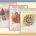 Math in Nature Poster Set: Boho STEM Classroom Decor Bulletin Board ...