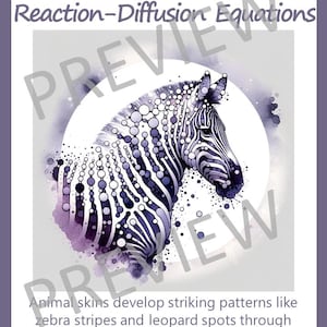 Math in Nature Poster Set: STEM Classroom Decor Bulletin Board (PDF ...