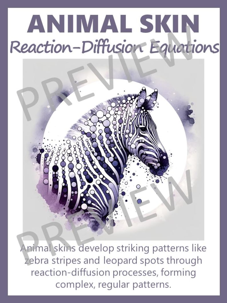 Math in Nature Poster Set: STEM Classroom Decor Bulletin Board (PDF ...