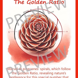 Math in Nature Poster Set: STEM Classroom Decor Bulletin Board (PDF ...