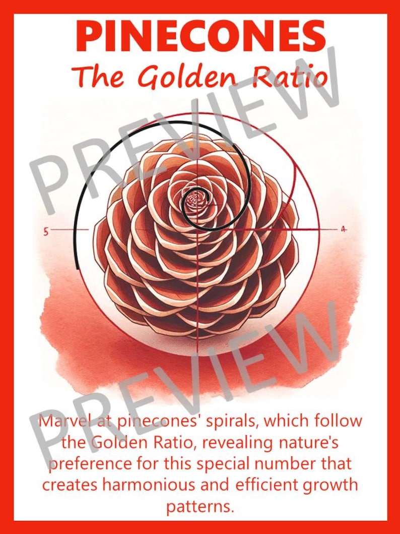 Math in Nature Poster Set: STEM Classroom Decor Bulletin Board (PDF ...