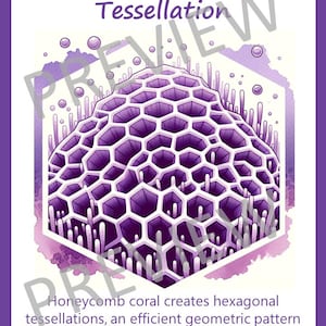 Math in Nature Poster Set: STEM Classroom Decor Bulletin Board (PDF ...