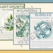 Math in Nature Poster Set: Boho STEM Classroom Decor Bulletin Board ...