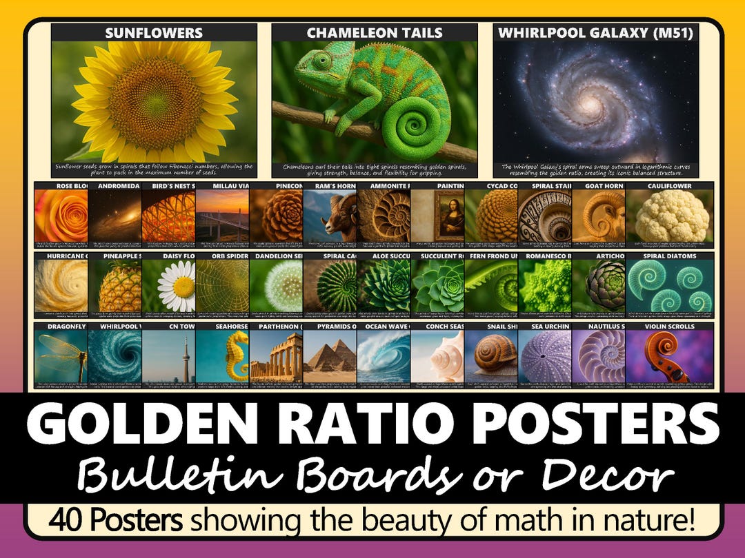 Golden Ratio STEM Posters: Math in Nature & Art (PDF Download Set of 40 ...