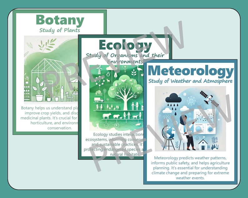 Science Classroom Posters: Branches of Science, STEM Education (PDF ...