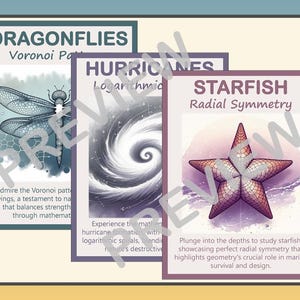 Math in Nature Poster Set: Boho STEM Classroom Decor Bulletin Board ...
