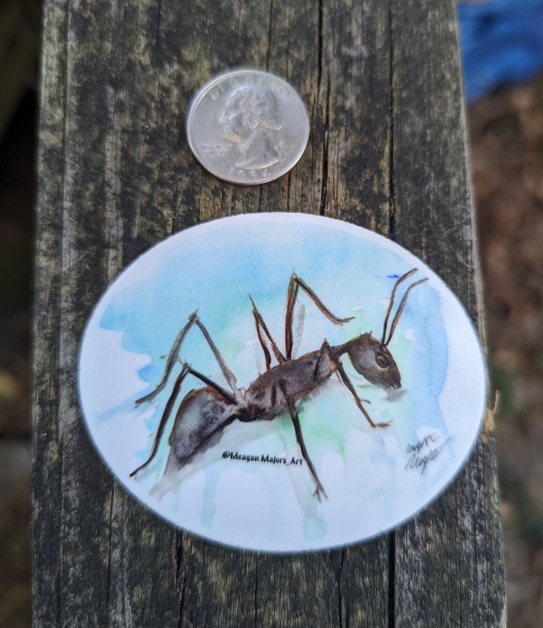 Ant Sticker 3 Vinyl Waterproof Sticker, Carpenter Ant, Insect Sticker ...