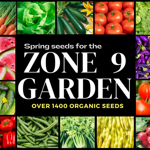 Zone 9 Vegetable Calendar - Etsy