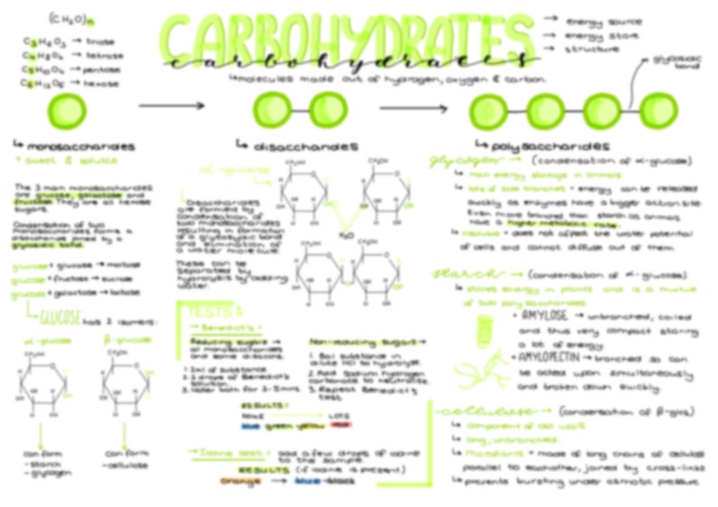 A Level Biology Notes - Topic 1 "biological Molecules" - Etsy
