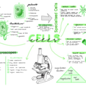 GCSE Biology Revision Notes | Topic 1- Cell Biology - Etsy