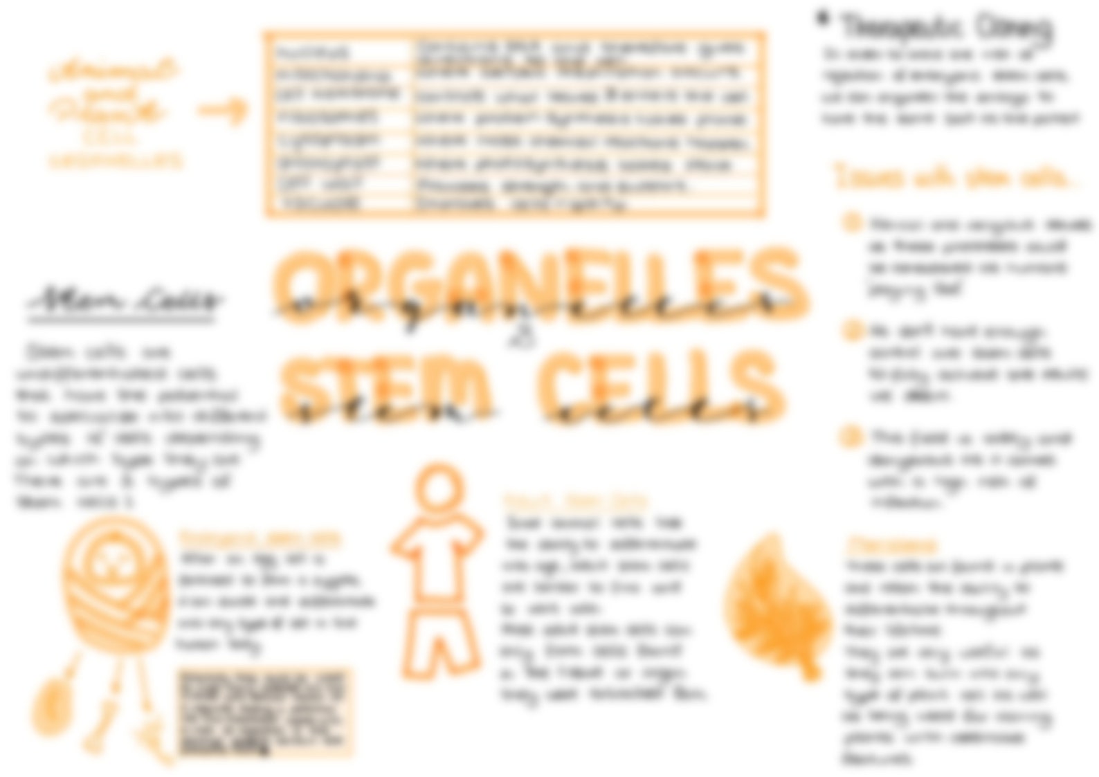 GCSE Biology Revision Notes | Topic 1- Cell Biology - Etsy UK