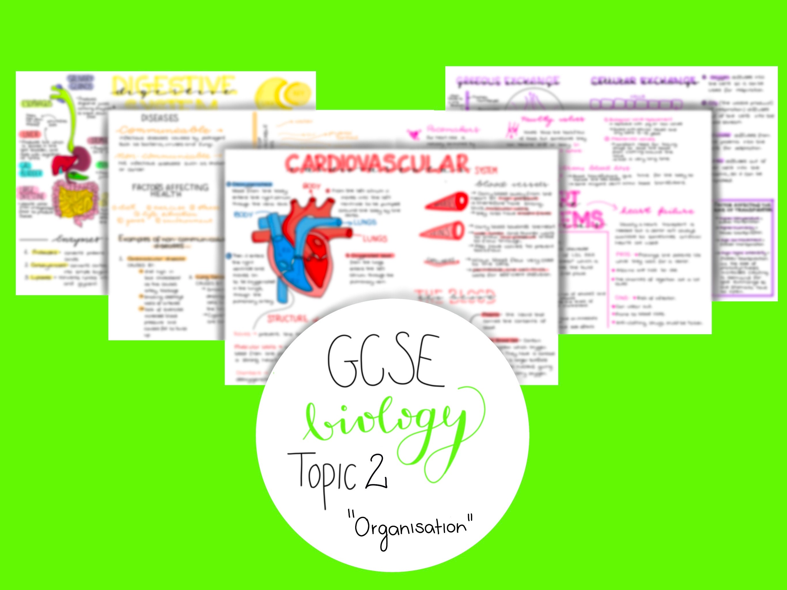 GCSE Biology Revision Notes | Topic 2 - Organisation - Etsy UK