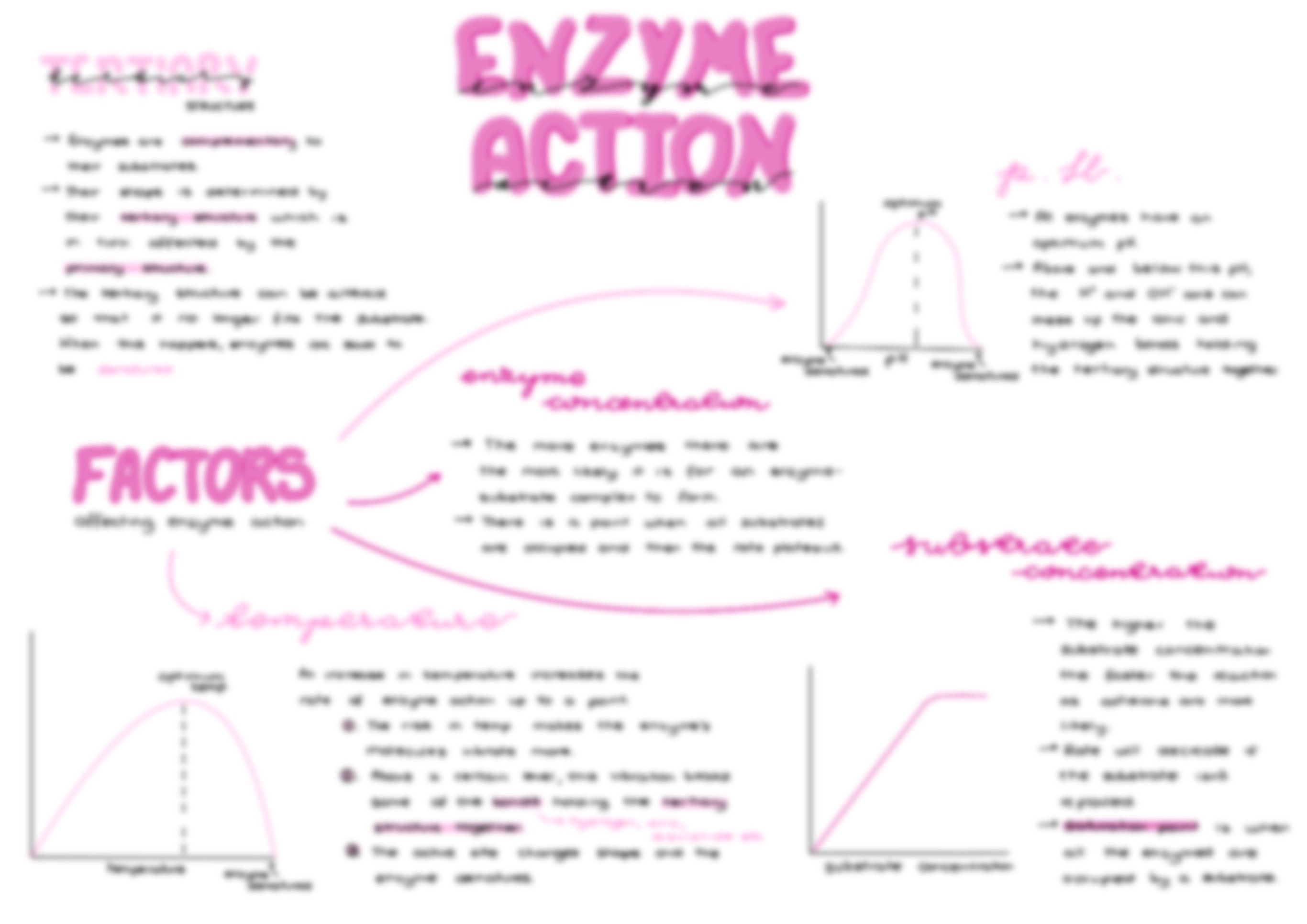 A Level Biology Notes - Topic 1 "biological Molecules" - Etsy