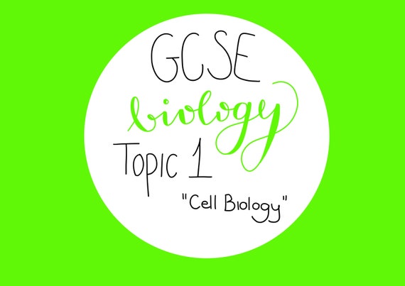 GCSE Biology Revision Notes Topic 1 Cell Biology - Etsy UK