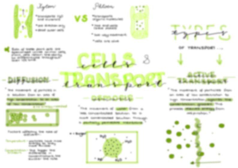 GCSE Biology Revision Notes | Topic 1- Cell Biology - Etsy UK