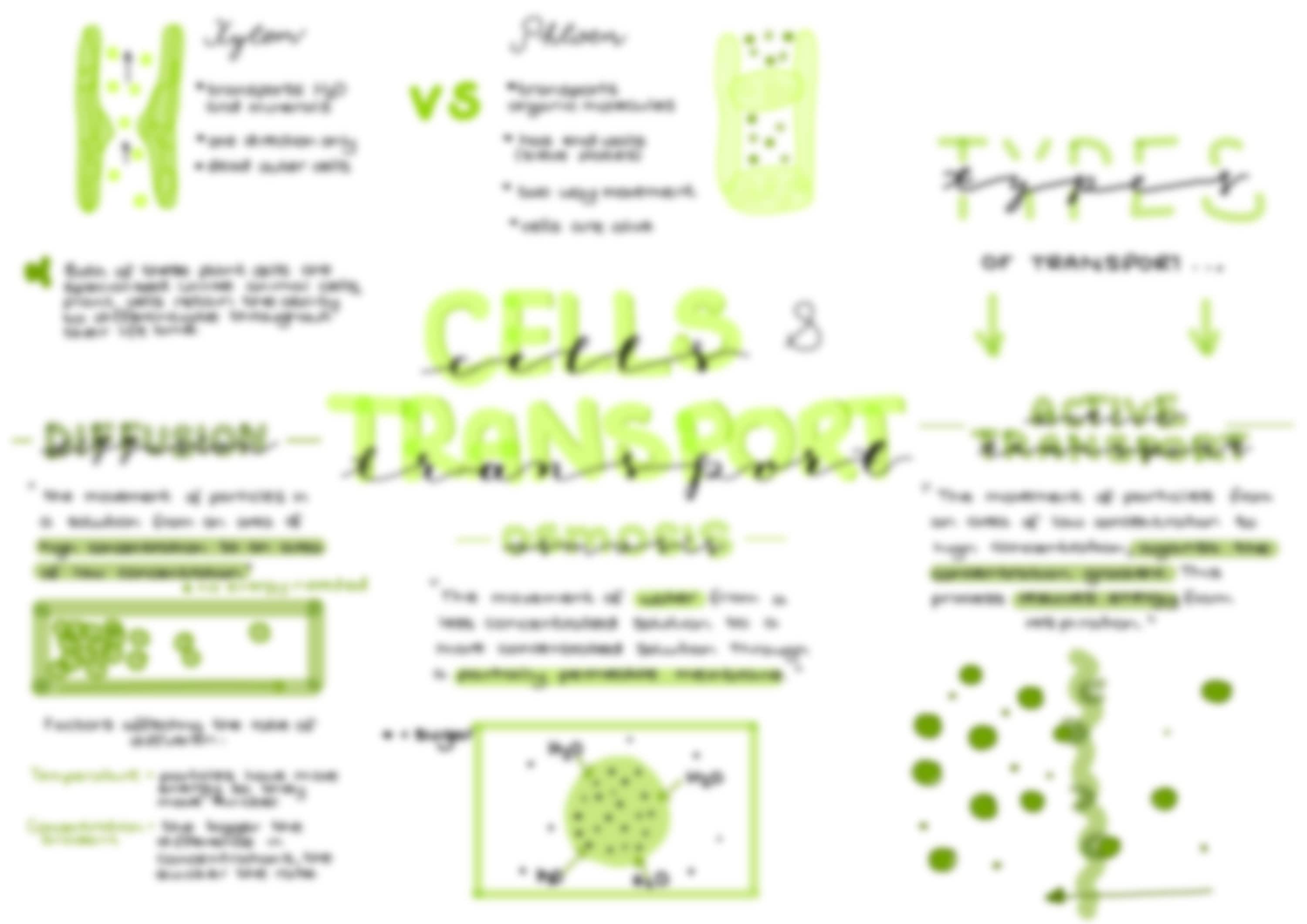 GCSE Biology Revision Notes Topic 1 Cell Biology Etsy UK gcse-biology-revision-notes-topic-1-cell-biology-etsy-uk