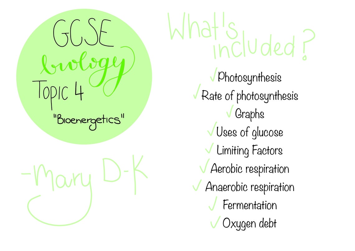 GCSE Biology Revision Notes | Topic 4 - Bioenergetics - Etsy