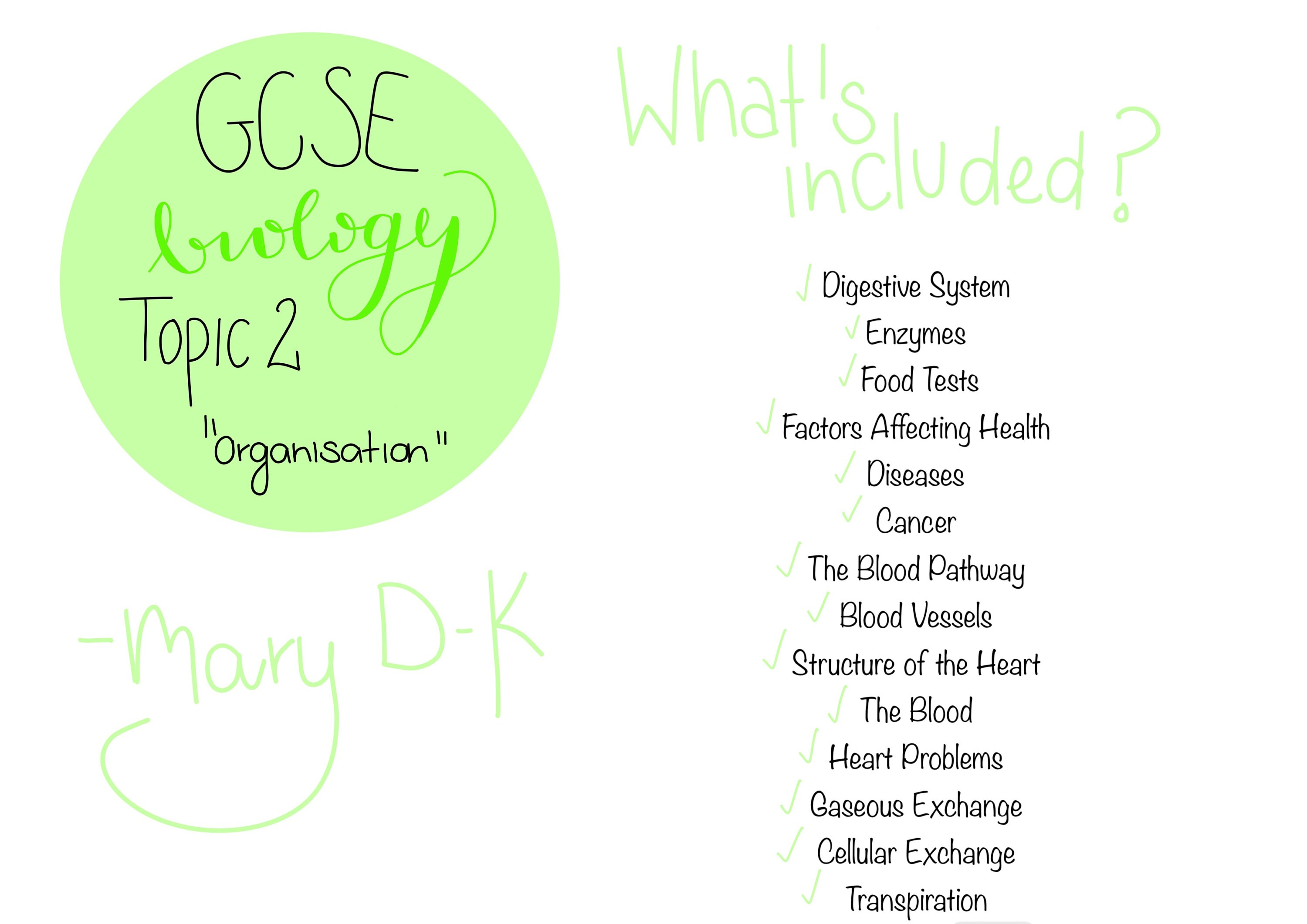 GCSE Biology Revision Notes | Topic 2 - Organisation - Etsy UK