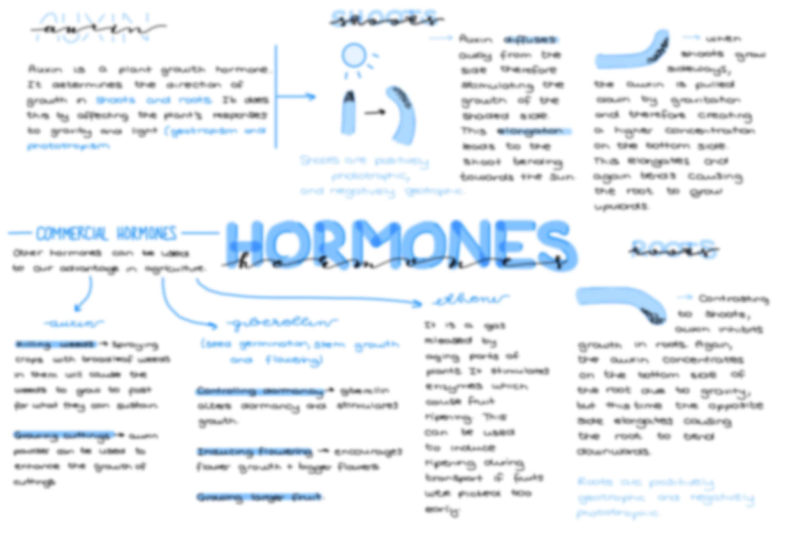 GCSE Biology Revision Notes | Topic 5 - Homeostasis - Etsy
