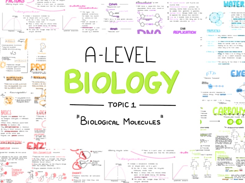 A Level Biology Notes - Topic 1 "biological Molecules" - Etsy