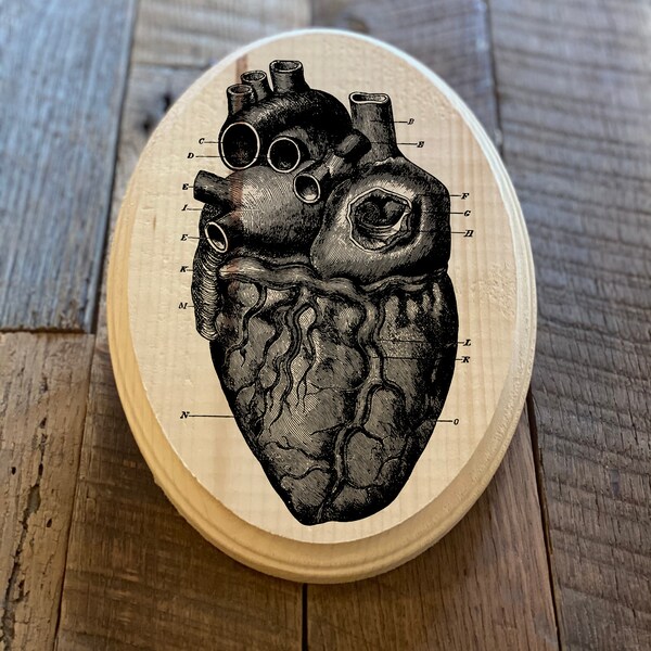 The Tell Tale Heart - Etsy