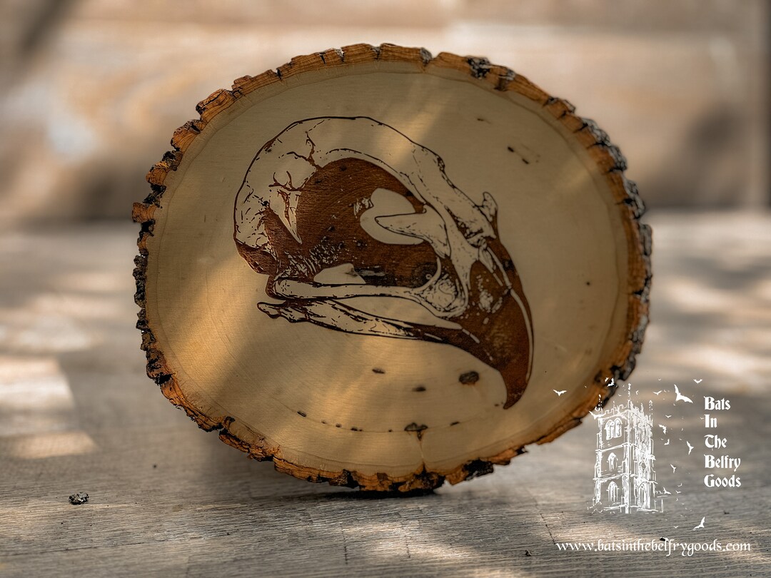 Small Laser Engraved Bird Skull on Wood Live Edge - Etsy