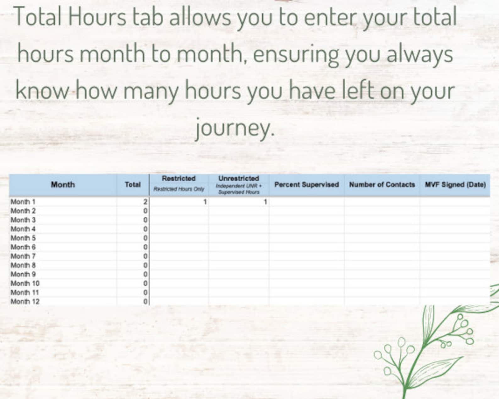 BCBA _ Bcaba Practicum Student Fieldwork Hours Tracker _ Excel / Google ...