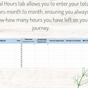 BCBA _ Bcaba Practicum Student Fieldwork Hours Tracker _ Excel / Google ...