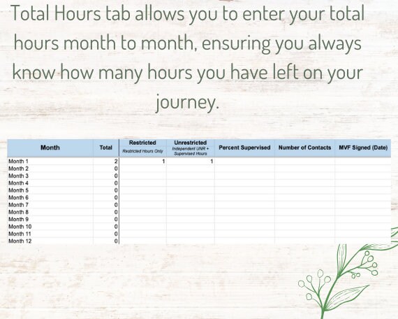 BCBA _ Bcaba Practicum Student Fieldwork Hours Tracker _ Excel / Google ...
