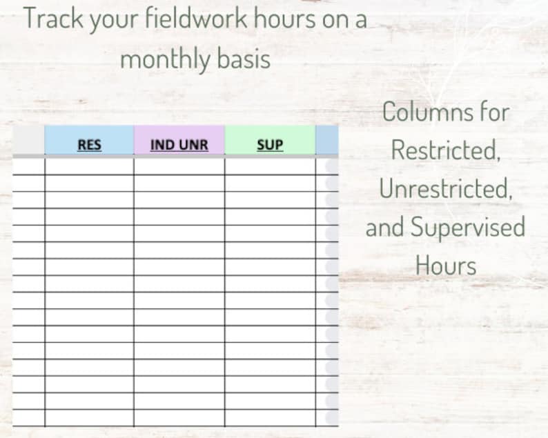 BCBA _ Bcaba Practicum Student Fieldwork Hours Tracker _ Excel / Google ...