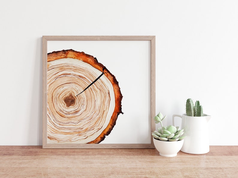 Tree Ring Watercolor Print Tree Slice Nature Woodland Art | Etsy