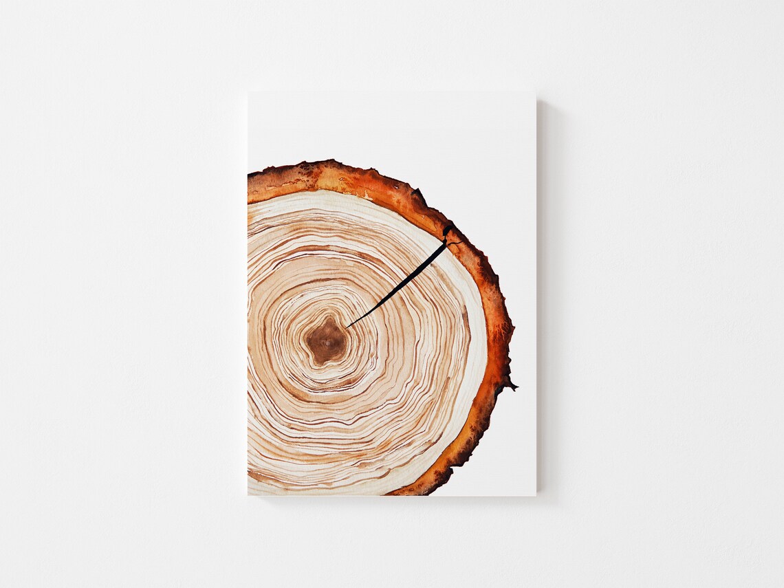 Tree Ring Watercolor Print Tree Slice Nature Woodland Art | Etsy