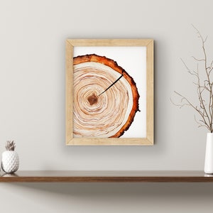 Tree Ring Watercolor Print- Tree Slice - Nature - Woodland Art Print ...