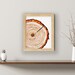 Tree Ring Watercolor Print Tree Slice Nature Woodland Art - Etsy