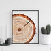 Tree Ring Watercolor Print Tree Slice Nature Woodland Art - Etsy